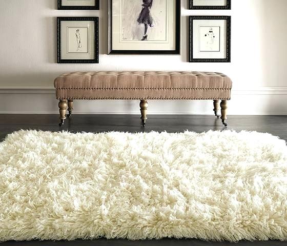 The Most Used Rug in Homes | Eco-Friend Carpet Care | Las Vegas